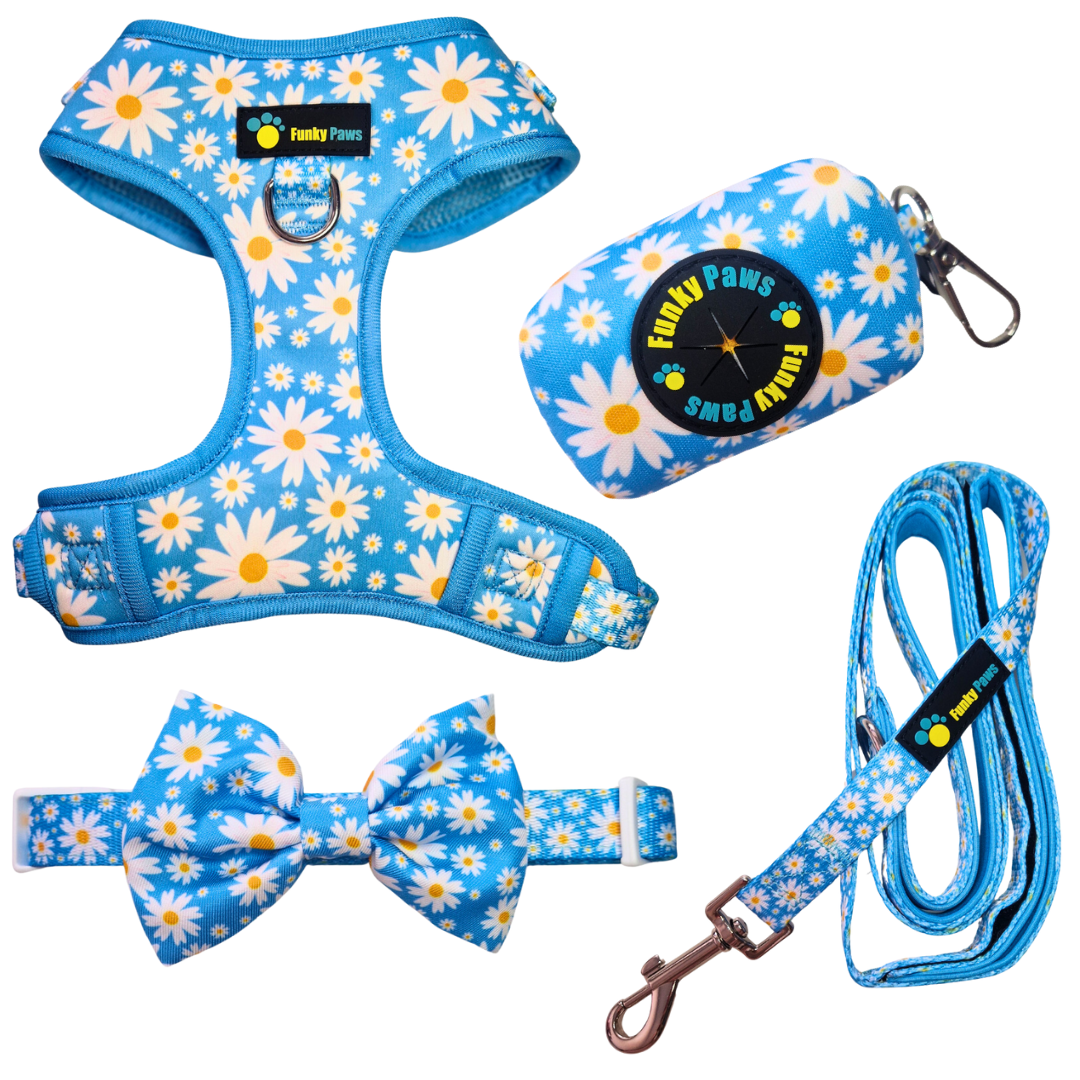 Cool Daisy Bundle – Funky Paws Co