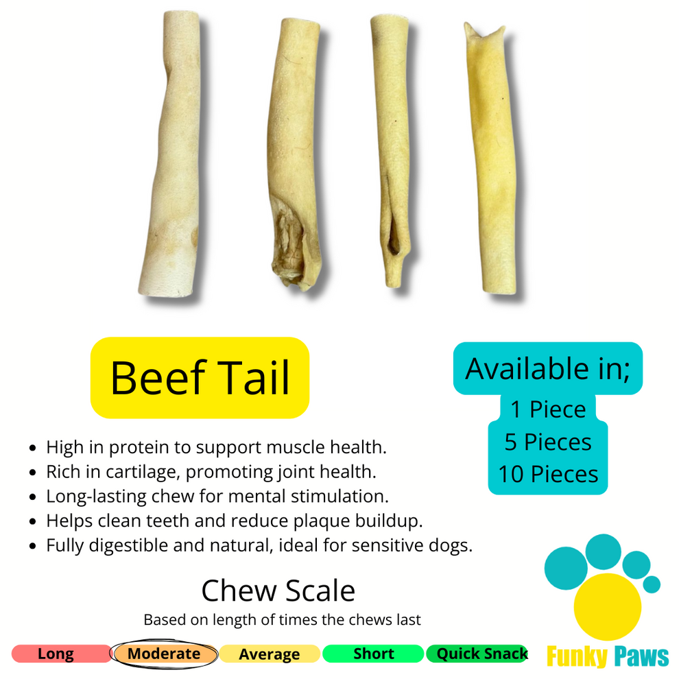 Beef Tails (5 Pieces, 10 Pieces) – Funky Paws Co