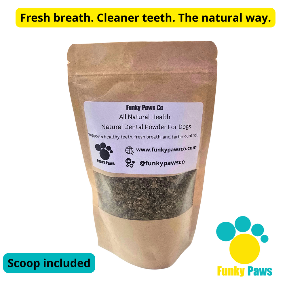 150g Natural Dental Powder for Dogs – Funky Paws Co