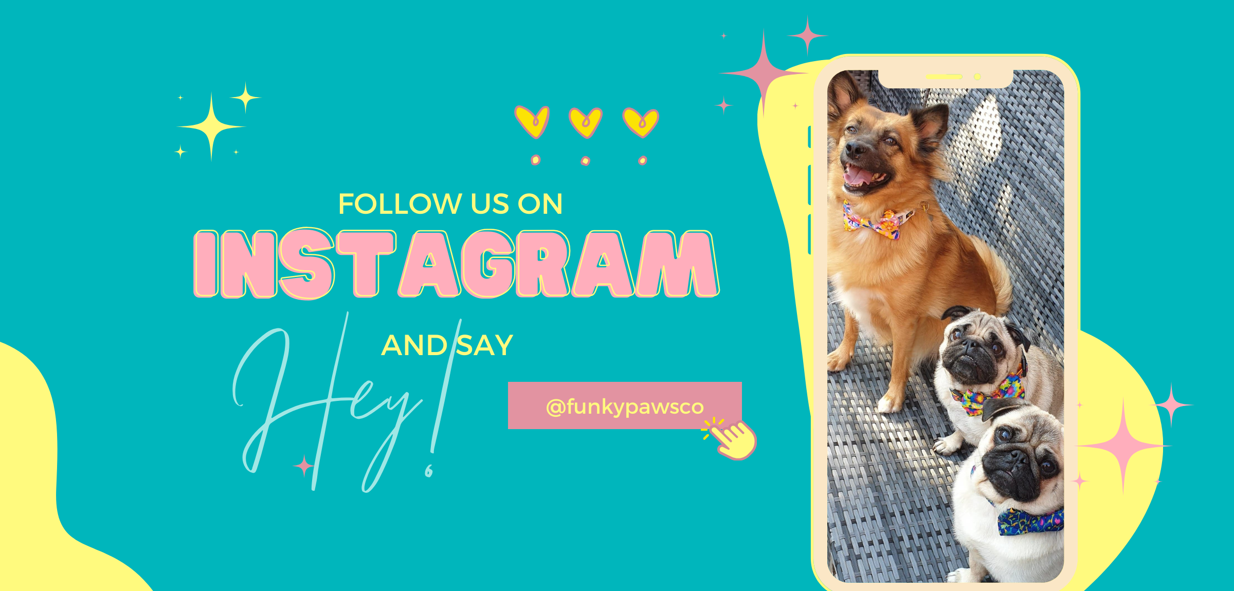 Funky Paws – Funky Paws Co
