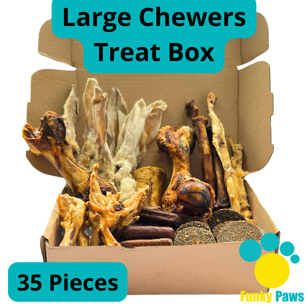 Chewers store