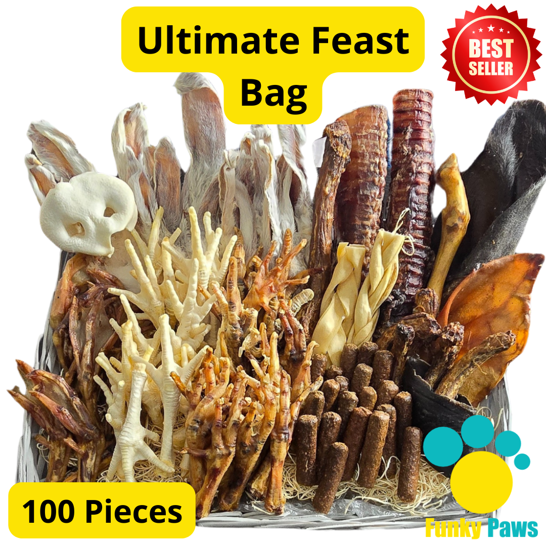 100 Piece Ultimate Feast Bag | Natural Dog Treat Bundle UK | Funky Paws Co