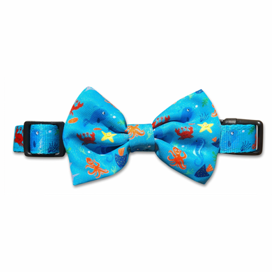 Funky Paws – Funky Paws Co